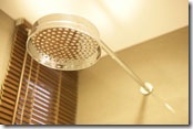 Dangerous shower curtains and shower heads | Beauty and Personal Grooming